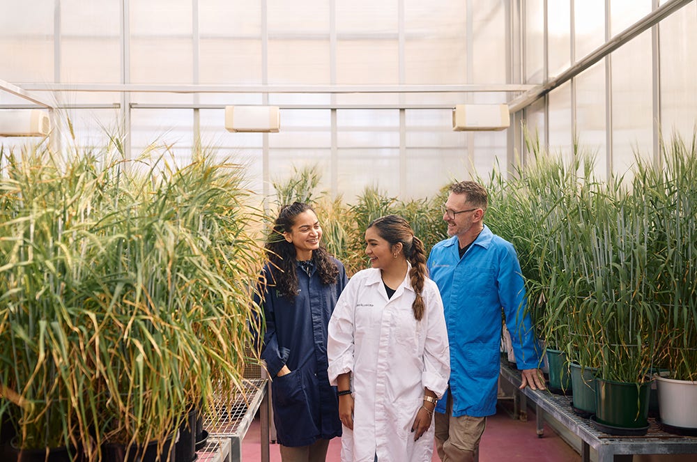 Study Bachelor of Science (Veterinary Bioscience) at Adelaide ...