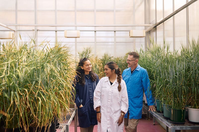 Study Bachelor of Agricultural Sciences at Adelaide University ...