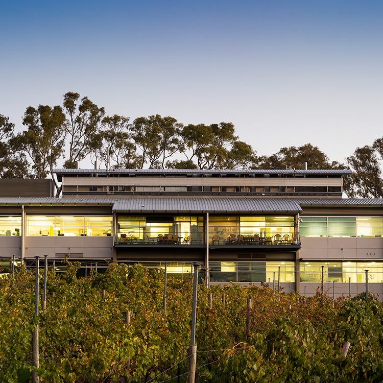 Campuses | Life at Adelaide | Adelaide University