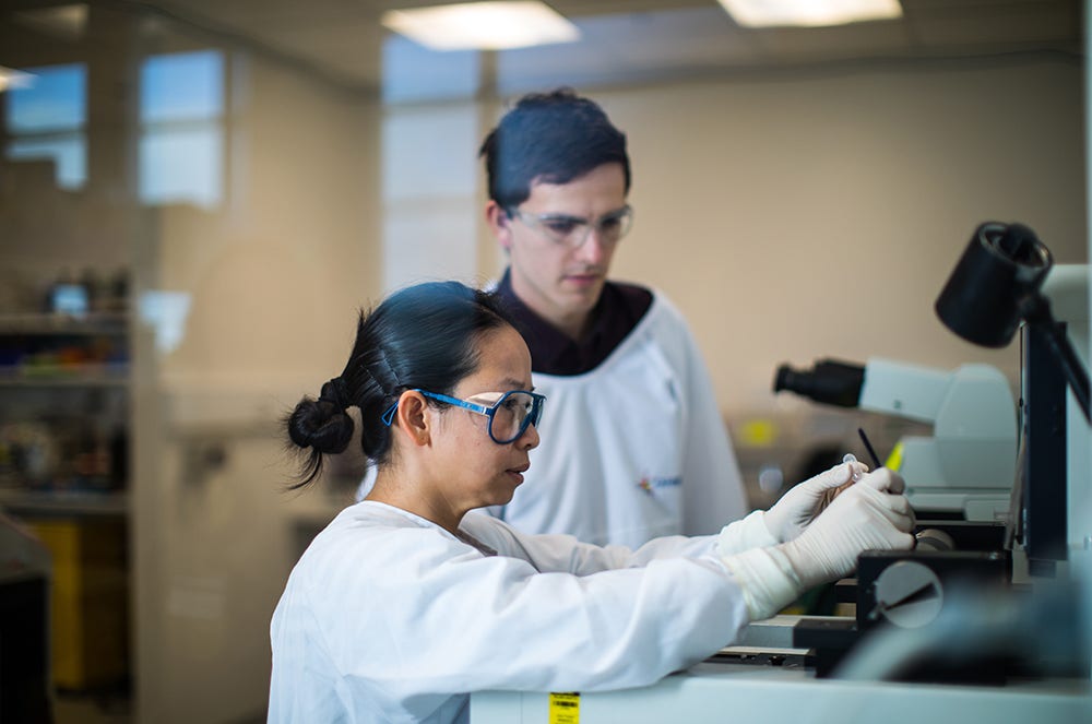 Study Bachelor of Biomedical and Health Sciences at Adelaide University ...